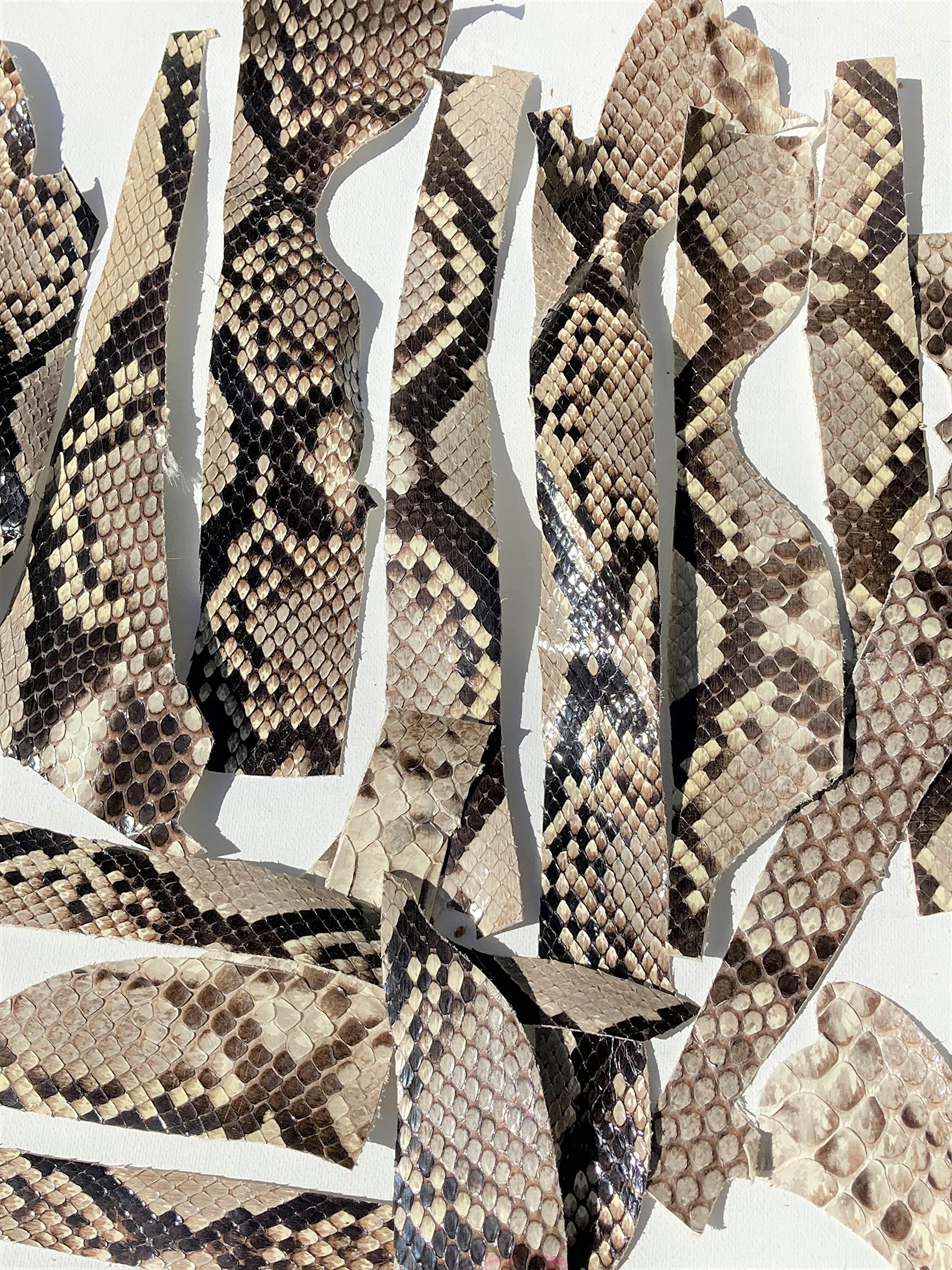 Mua Python Snake Pieces and Strips, Genuine Skins, Black and White ...