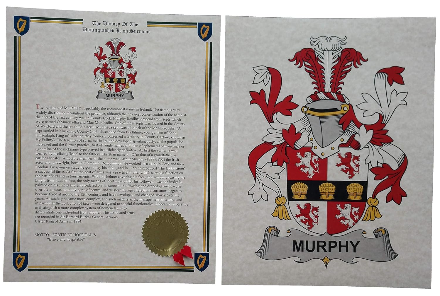 Amazon.com: Murphy - Coat of Arms and Last Name History - 8.5x11 Print ...