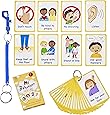 Amazon.com: My Essential Needs Cards 12 Flash Cards for Visual aid ...