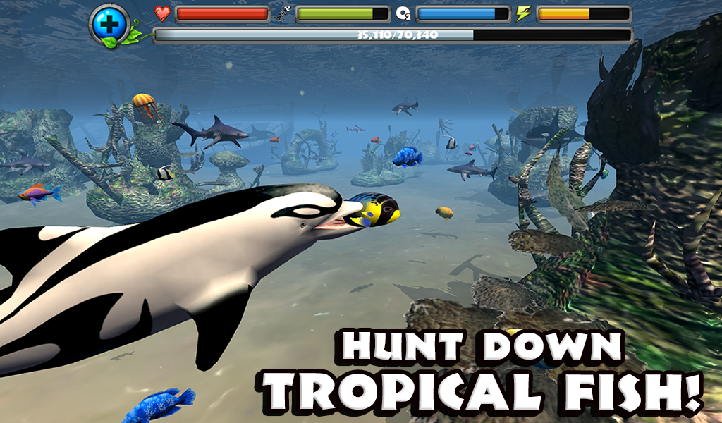Dolphin Simulator:Amazon.co.uk:Appstore for Android