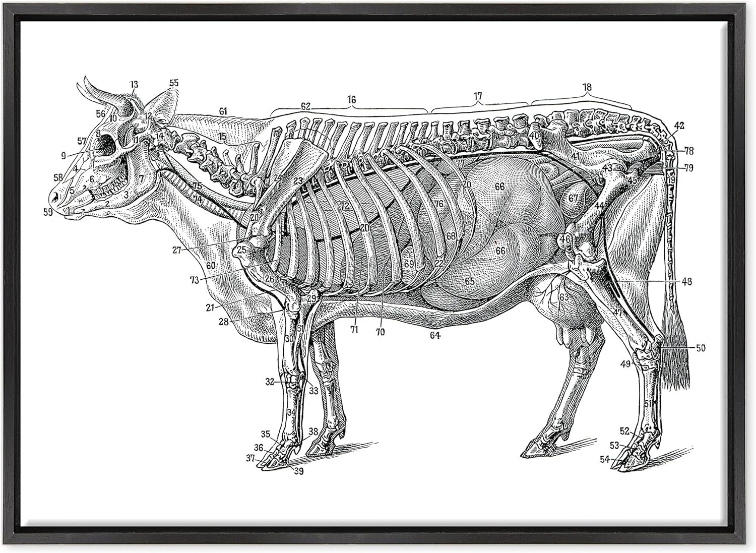 Bild auf Leinwand Canvas – Gerahmt – fertig zum Aufhängen – Abschnitt ...