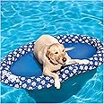 Amazon.com: SwimWays Spring Float Paddle Paws Dog Pool Float - Large ...