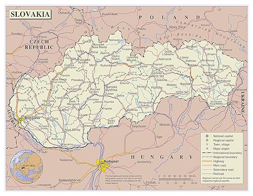 Palmetto Posters 24x31 Laminated Poster: Large detailed political and ...