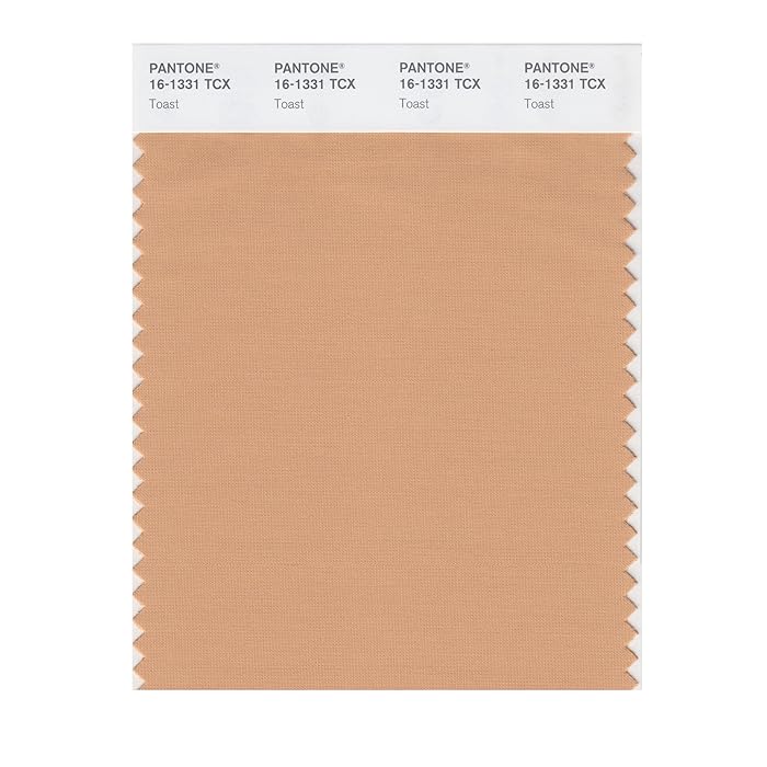 Buy PANTONE Smart 16-1331X Color Swatch Card, Toast Online at ...