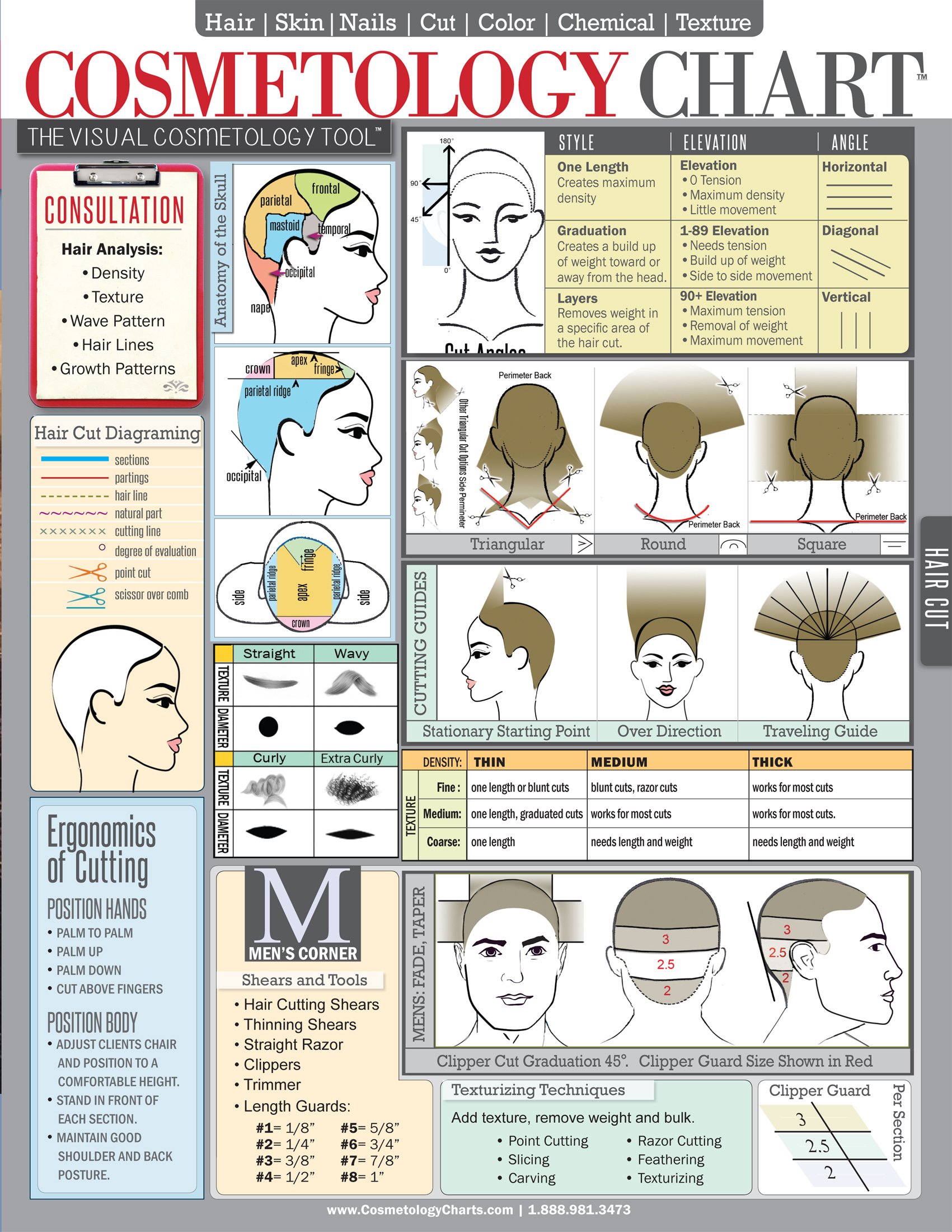 Mua Cosmetology Chart & Cheat Sheet For Hair Stylists, Students ...