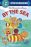 Amazon.com: The Berenstain Bears and the Tic-Tac-Toe Mystery (Step-Into ...