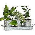 Amazon.com : Farmhouse Flower Herb Pot Set with Tray - Galvanized Metal ...