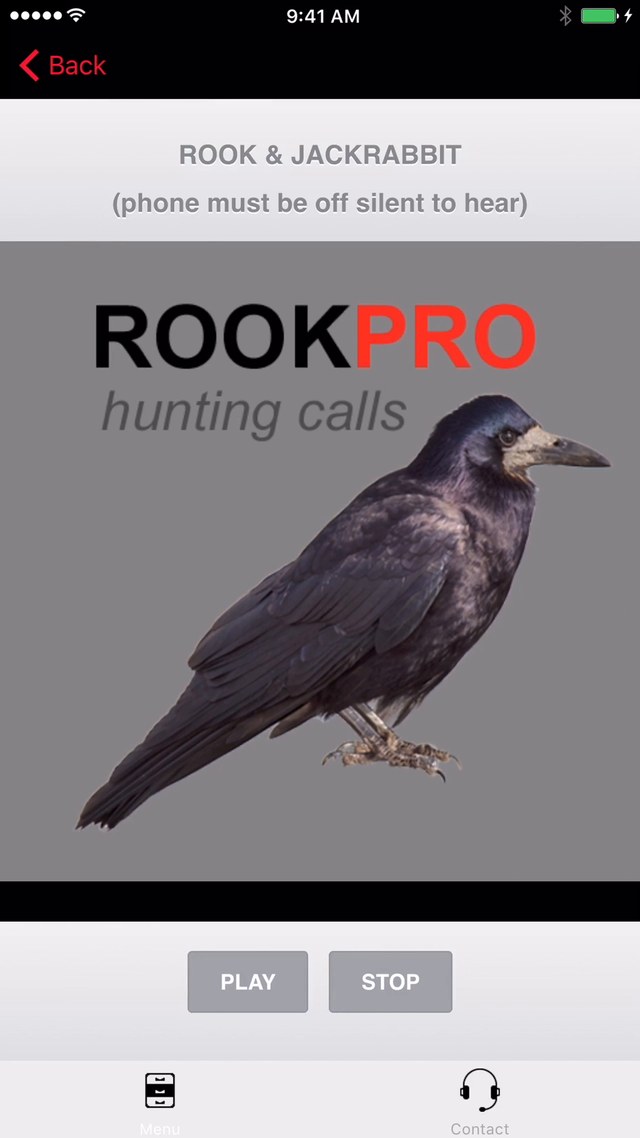REAL Rook Hunting Calls - 10 REAL Rook CALLS & Rook Sounds! - ROOK e ...