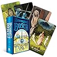 The Hieronymus Bosch Tarot: 78 Cards and 112-Page Guidebook: McHenry ...