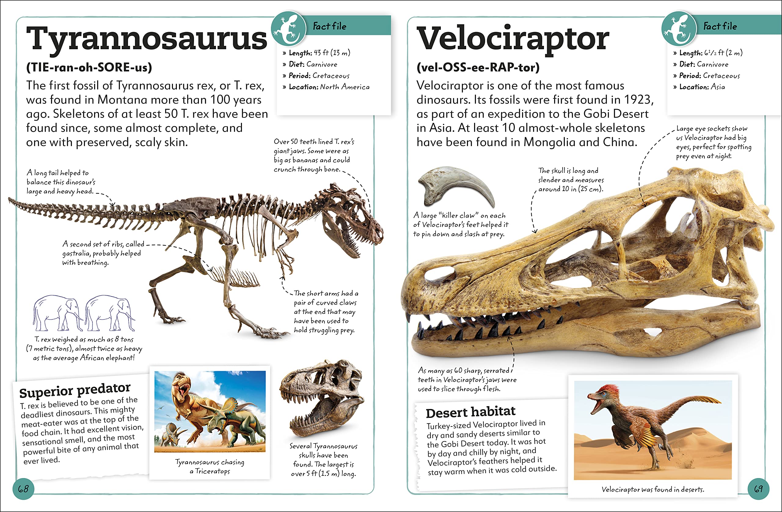 Mua My Book of Fossils: A fact-filled guide to prehistoric life trên ...