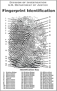 Amazon.com: Fingerprint Chart: Posters & Prints