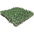 Amazon.com : Zoysia Sod Slab for Plugs : Patio, Lawn & Garden