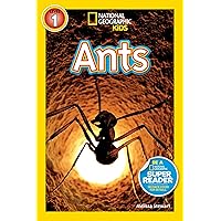 Amazon.com: National Geographic Kids Readers: Bugs (Prereader ...