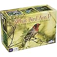 Amazon.com: What Bird Am I? – The Bird Identification Game – contains ...