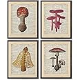Amazon.com: GOXFOC Vintage Mushroom Wall Art Prints Decor, Retro Rustic ...