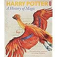 Harry Potter: A History of Magic: British Library: 9781408890769 ...