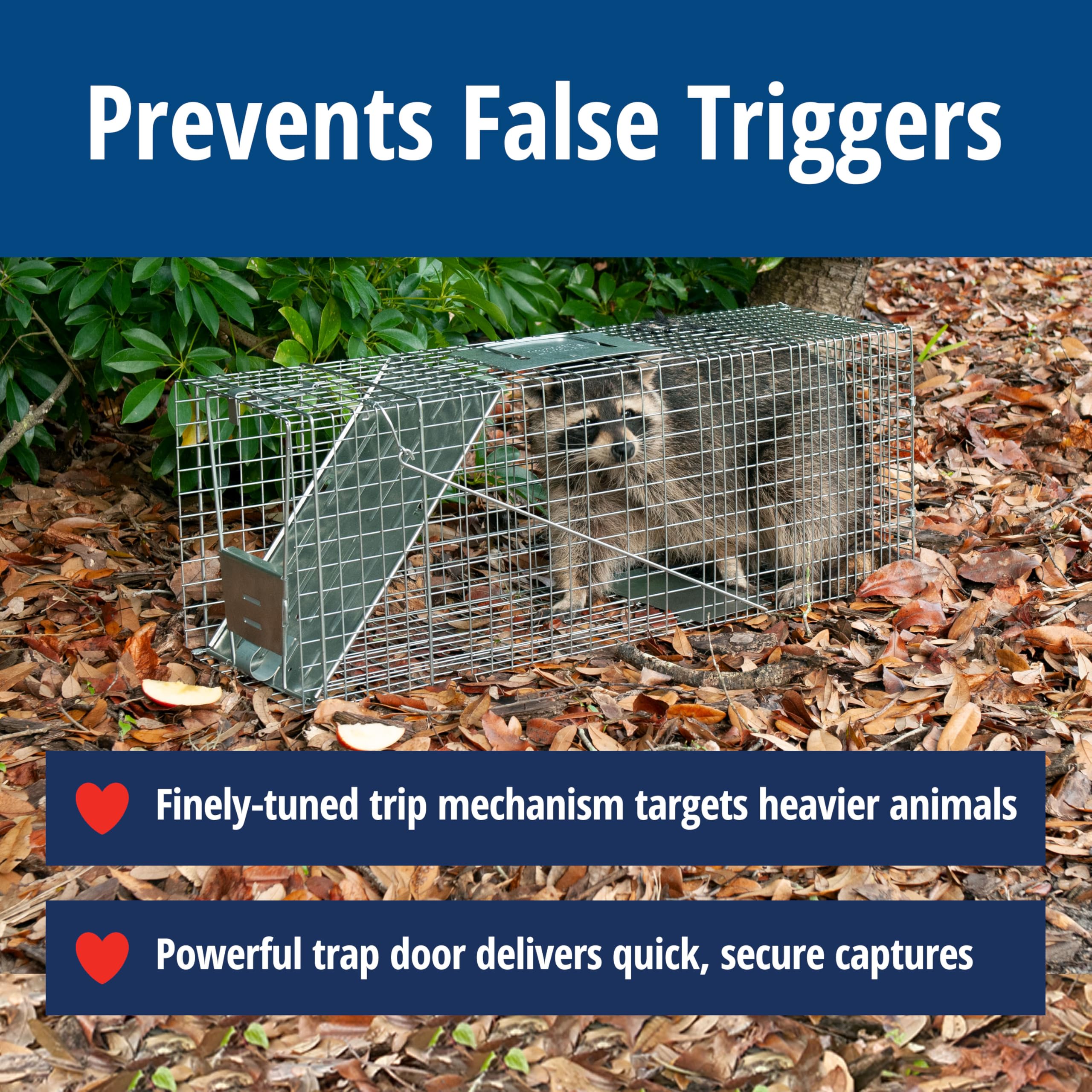 Mua HAVAHART 1079SR Large 1-Door Humane Catch and Release Live Animal ...