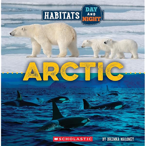 Arctic Habitat For Kids