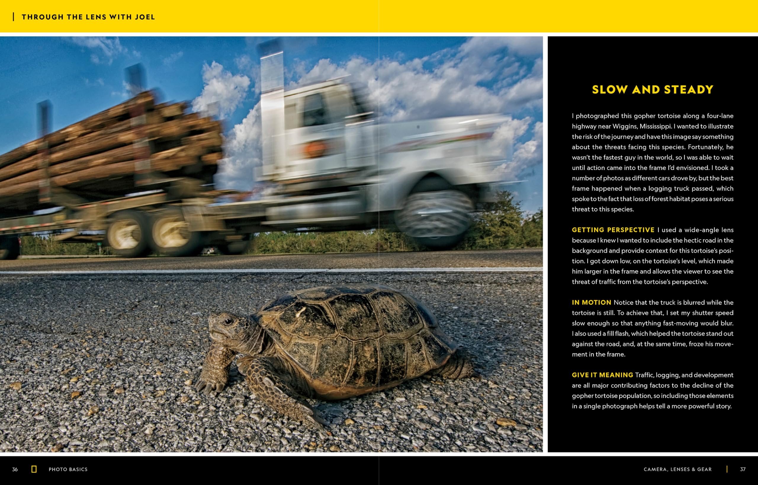 Mua National Geographic Photo Basics: The Ultimate Beginner's Guide to ...