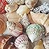 Amazon.com: Sea Shells Mixed Beach Seashells - Various Sizes up to 2 ...