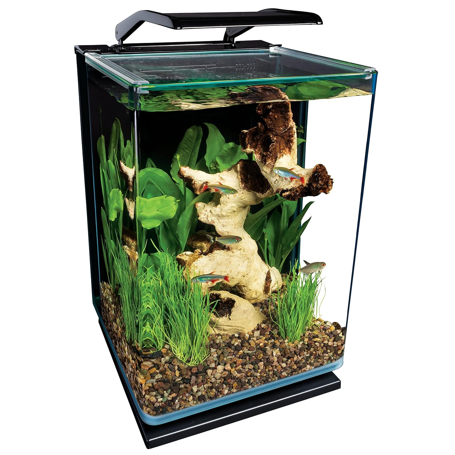 The Best Desktop Aqarium Home Preview
