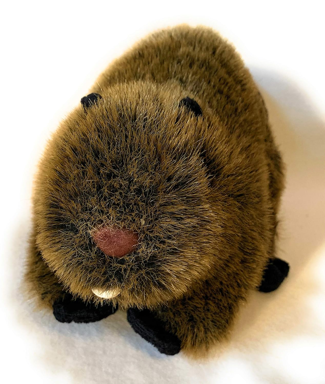 Amazon.com: Weighted stuffed animal , beaver sensory toy with 2 1/2 lbs ...