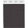 Amazon.com: PANTONE Smart 19-3903X Color Swatch Card, Shale : Office ...