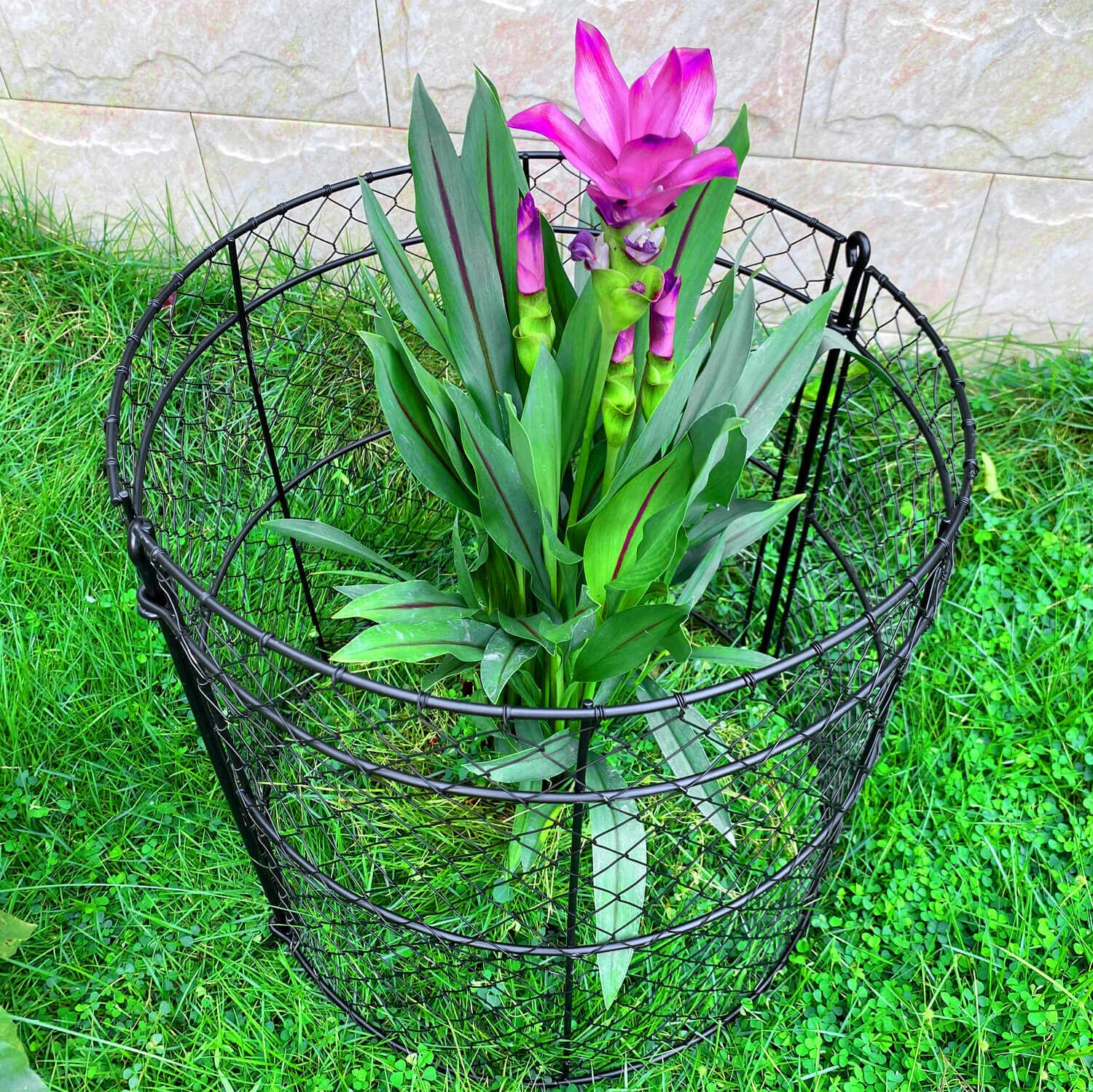 JILLSKY 6 Pack Garden Plant Protection Cloches 14"x16", Heavy Duty ...