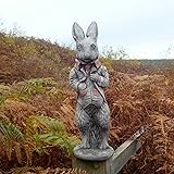 Peter Rabbit Garden Statue: Amazon.co.uk: Garden & Outdoors