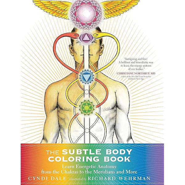 Shiatsu Meridians Arms A Guide To The 12 Major Meridians Of The Body