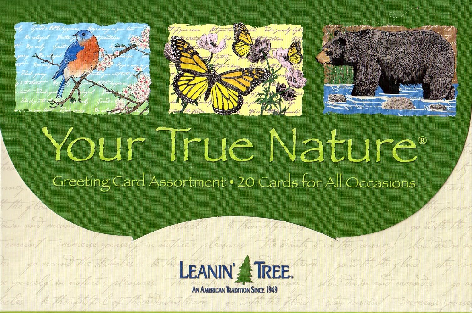 Amazon.com : Your True Nature - [AST90752] 20 Greeting Cards and 22 ...