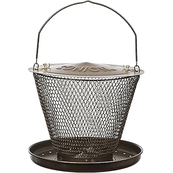 Amazon.com : No/No Bronze Lantern Collapsible Wire Mesh Feeder : Wild ...