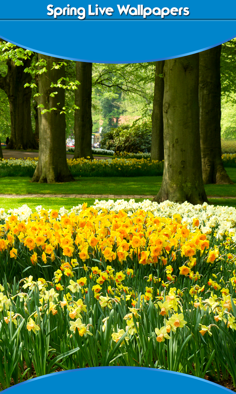 Amazon.com: Spring Live Wallpapers: Appstore for Android