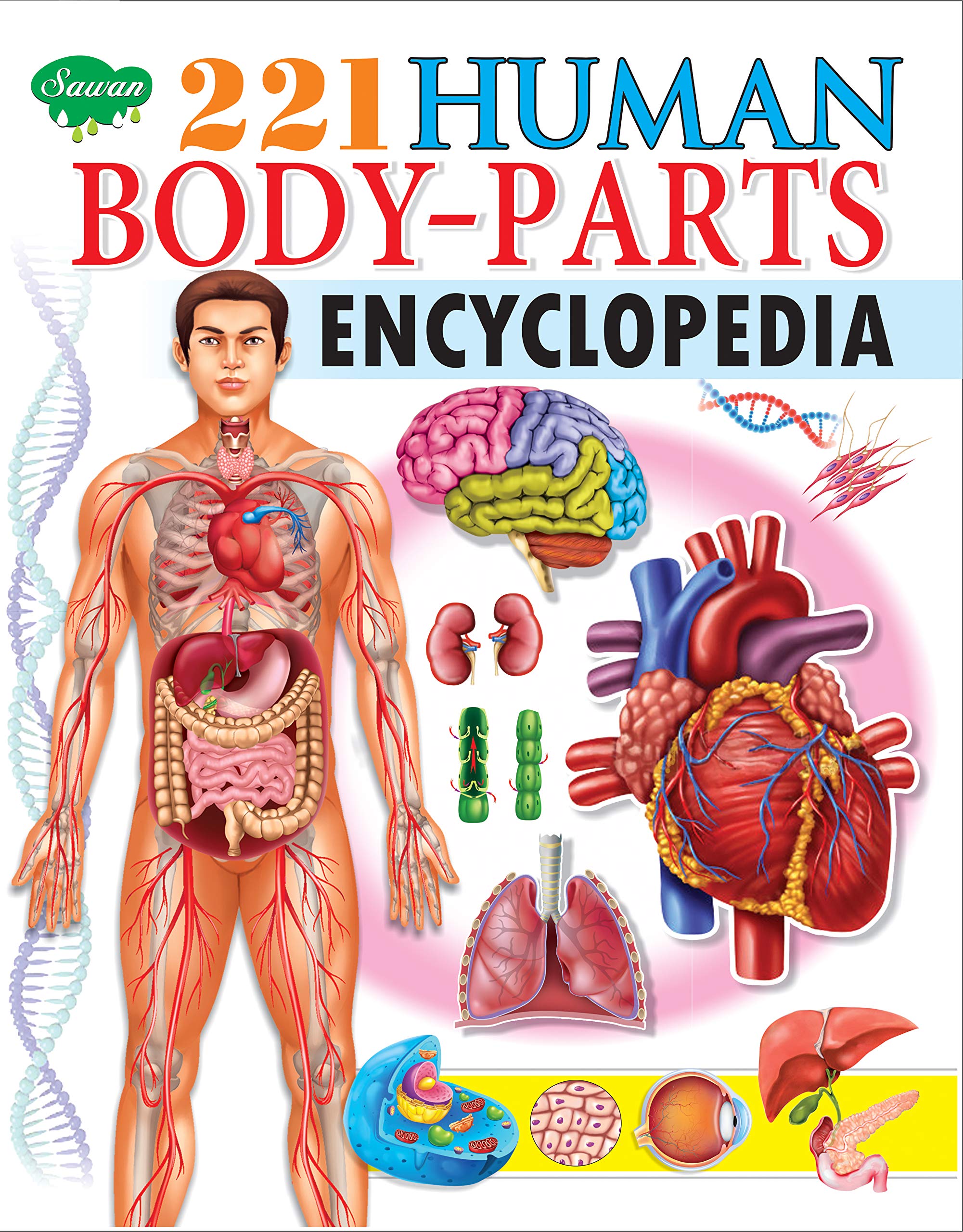 Body Parts With Pictures Top Body Parts Affected By Non Fatal