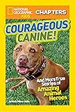 Amazon.com: National Geographic Kids Chapters: Animal Superstars: And ...