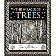 The Miracle of Trees (Wooden Books): Huikari, Olavi: 9780802777898 ...