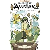 Avatar: The Last Airbender Complete Series Collection Set (23 books ...