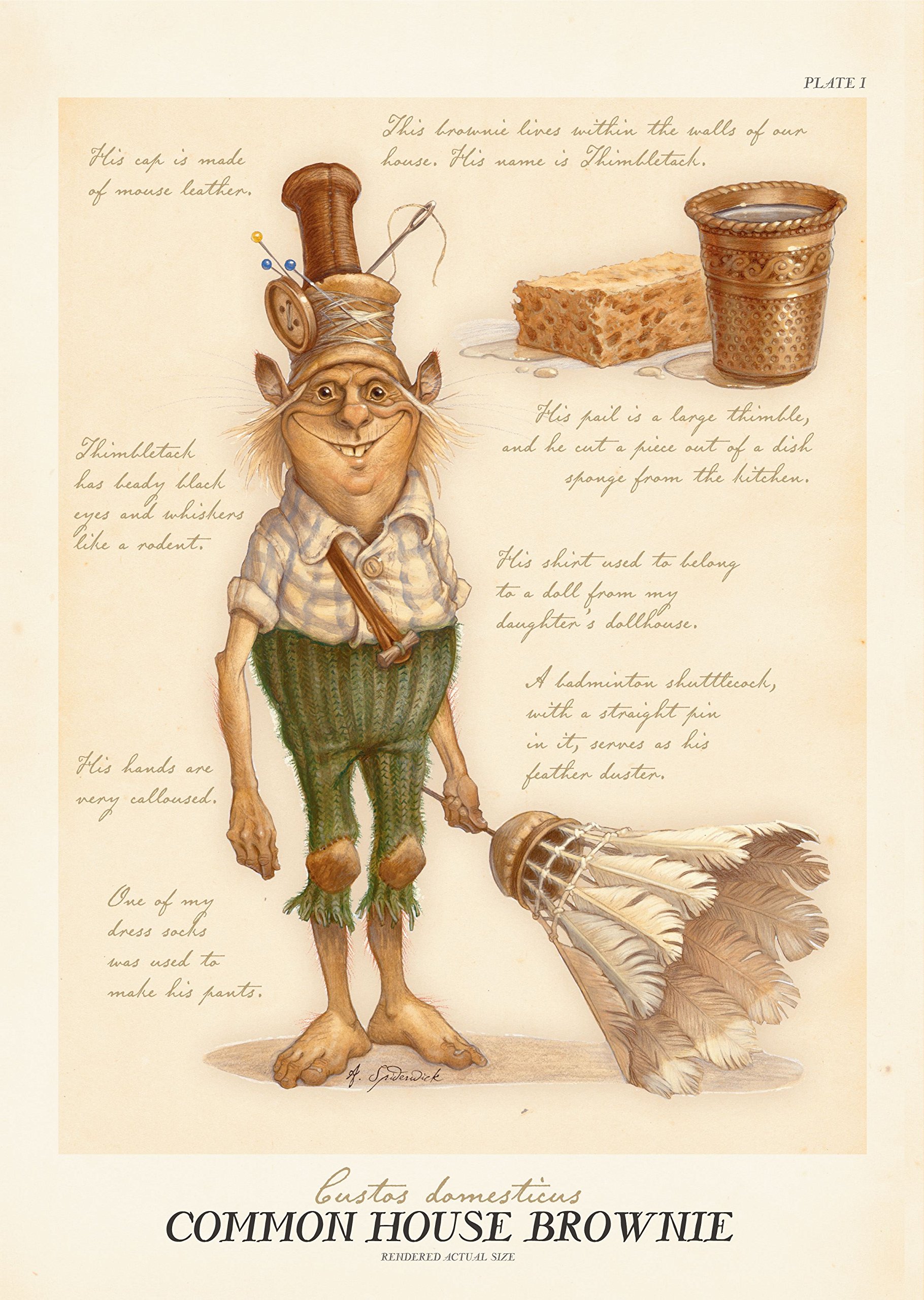 Spiderwick Chronicles Books Pdf : Guide The Portal Imager Chronicles ...