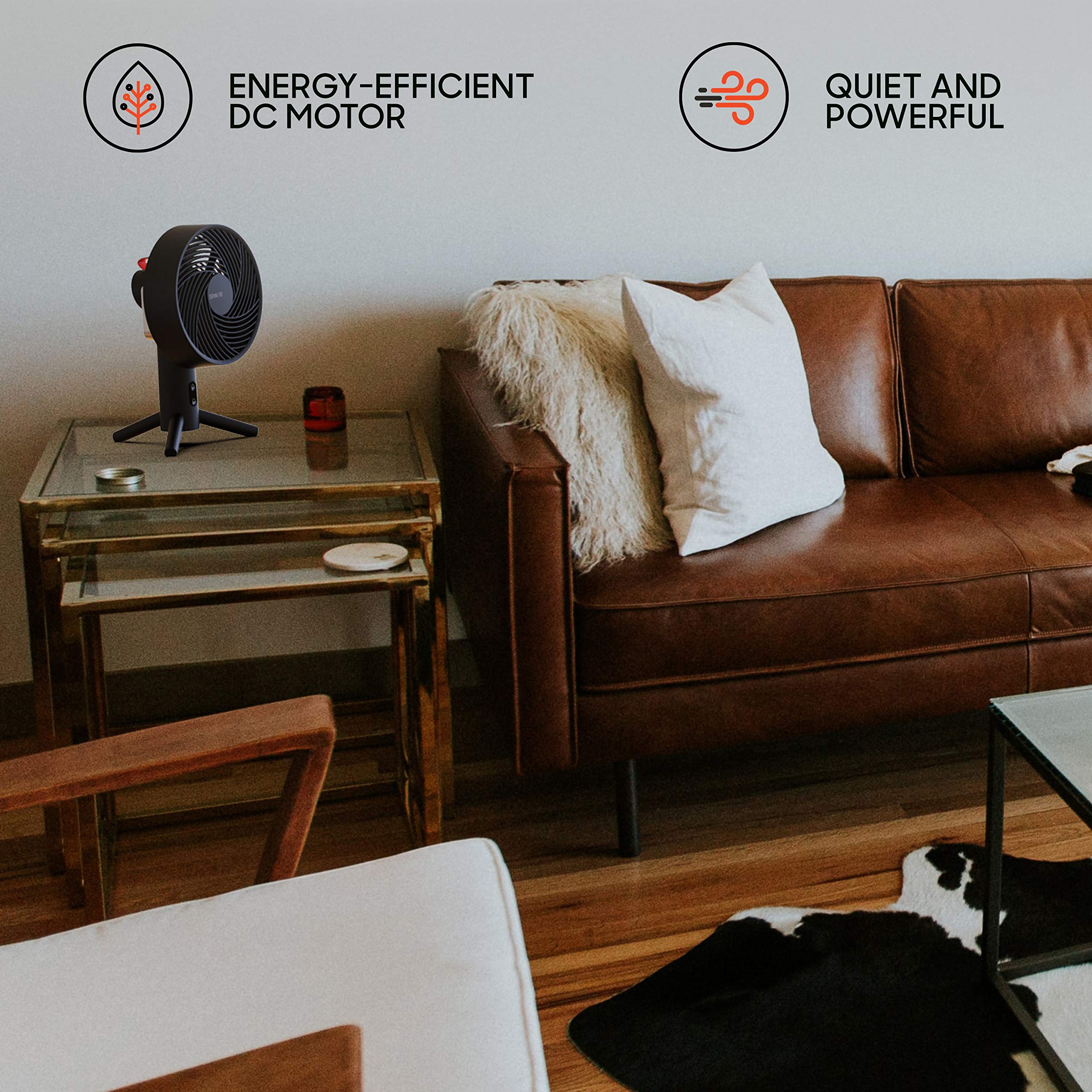 Mua SPIN 10 Oscillating Desktop Fan with 3 Speeds, Small, Black trên ...