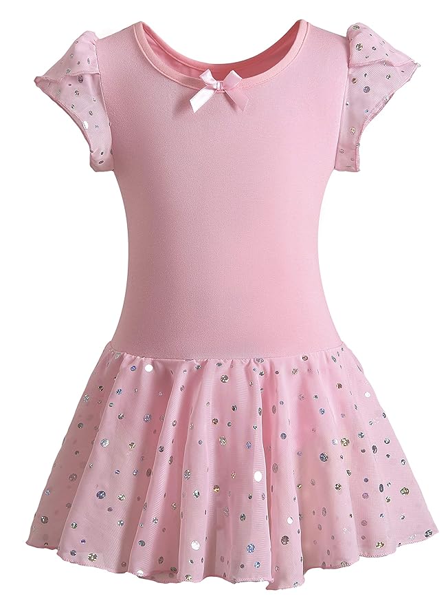 Buy DANSHOW Girls Glitter Leotards for Ballet Dance Dress with Tutu ...