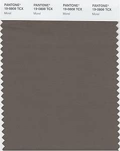 Amazon.com: Pantone 19-0808 TCX Smart Color Swatch Card, Morel: Home ...