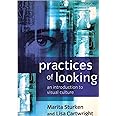 Practices of Looking: An Introduction to Visual Culture: Sturken ...