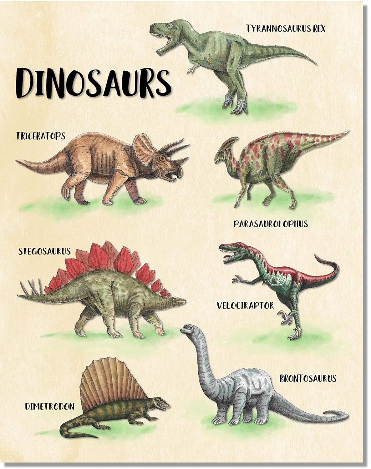 Amazon.com: Dinosaur Wall Art Print - Bedroom Decor - 11x14 - Unframed ...
