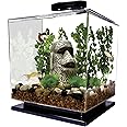 Tetra Cube Aquarium Kit, 3 Gallon : Amazon.ca: Pet Supplies