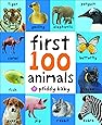 First 100 Words (Bright Baby First 100): Amazon.co.uk: Roger Priddy ...