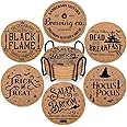 Amazon.com: AnyDesign 6Pcs Halloween Cork Coasters with Holder Hocus ...