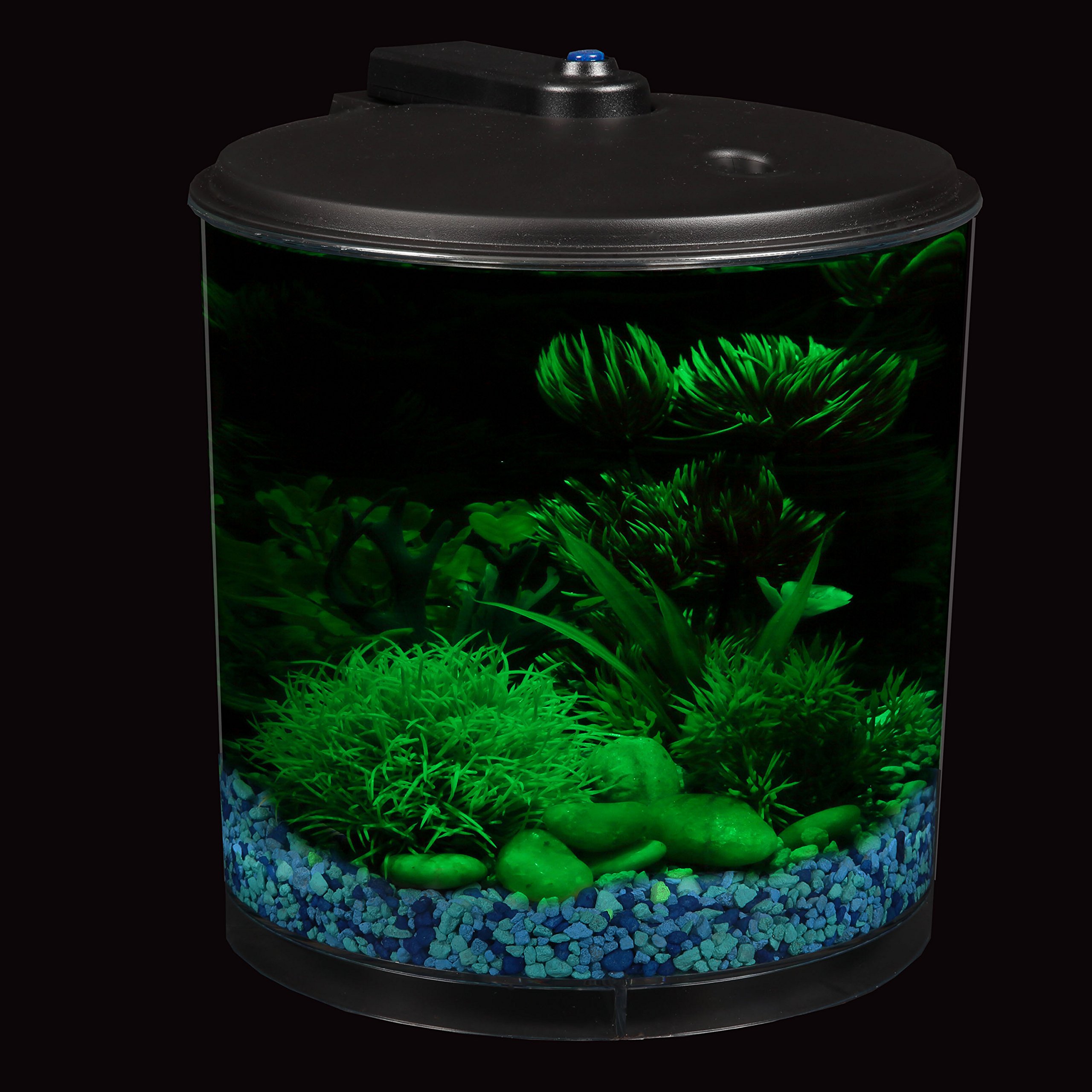 Koller Products AquaView 2-Gallon 360 Aquarium with Power Filter & LED ...
