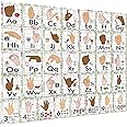 Amazon.com: YIYDONG 36 Pieces ASL Alphabet Line Bulletin Board Set ABC ...