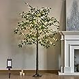 Amazon.com: LITBLOOM Lighted Ficus Tree 6FT 264 LED Fairy Lights ...
