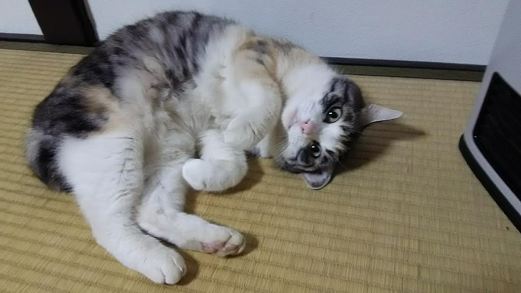 Learn English with TITANIC―映画『タイタニック』で学ぶ総合英語 | 照彦, 角山, Capper, Simon |本 ...